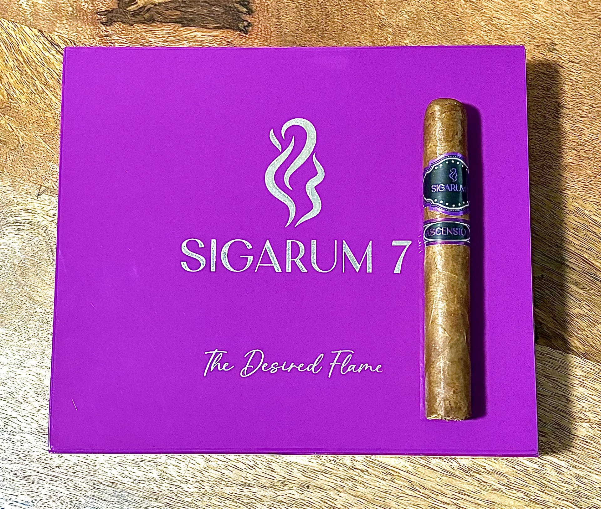 SIGARUM 7 | Introduction